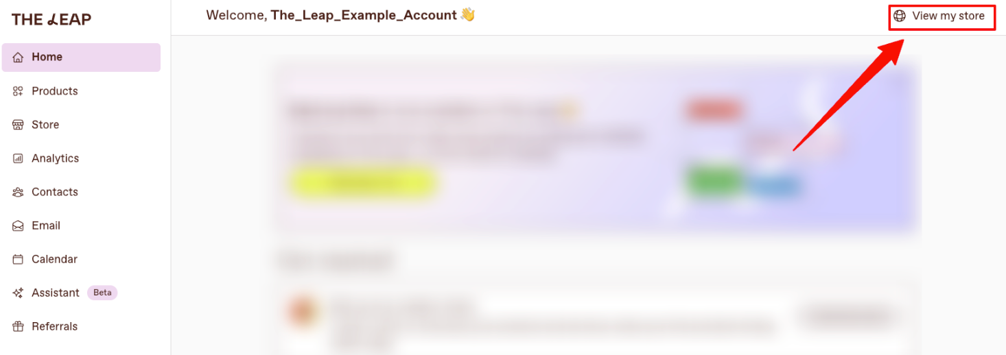 Build and Design Your Leap Store – The Leap