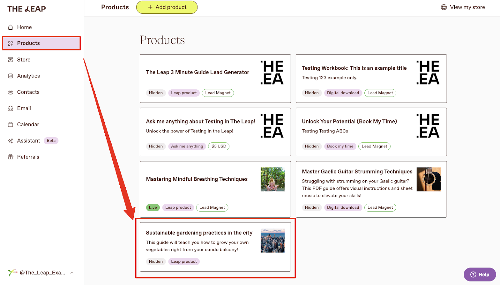 Manage your Product in your Leap Store and Product Landing Page – The Leap