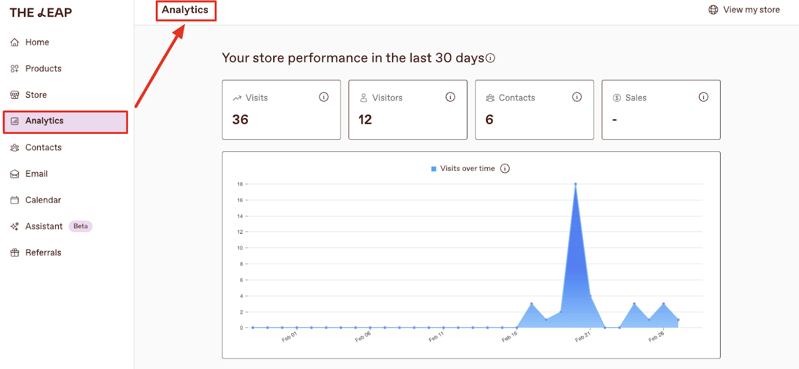 All About Leap Analytics – The Leap