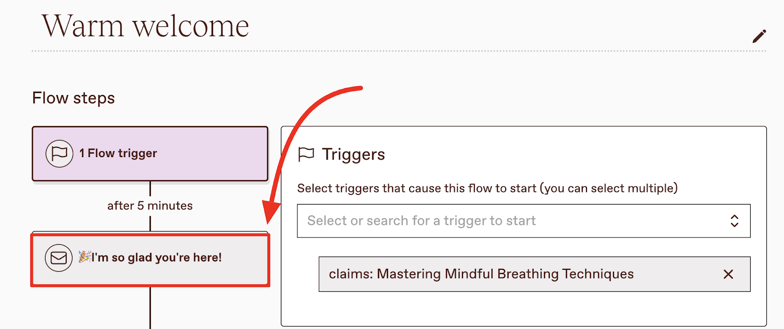 All About Flow Emails – The Leap