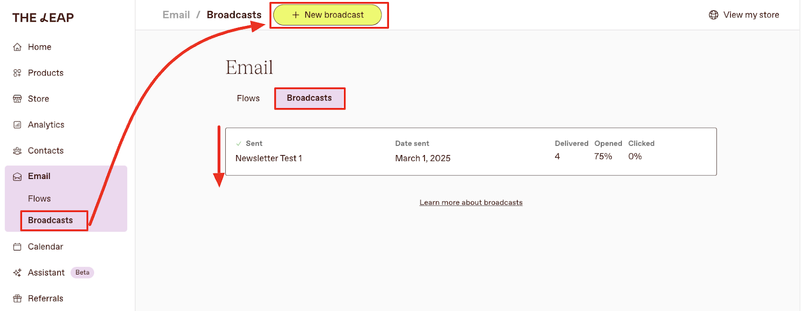 All About Broadcast Emails – The Leap