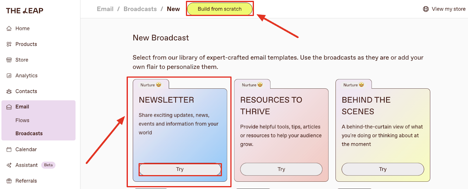All About Broadcast Emails – The Leap